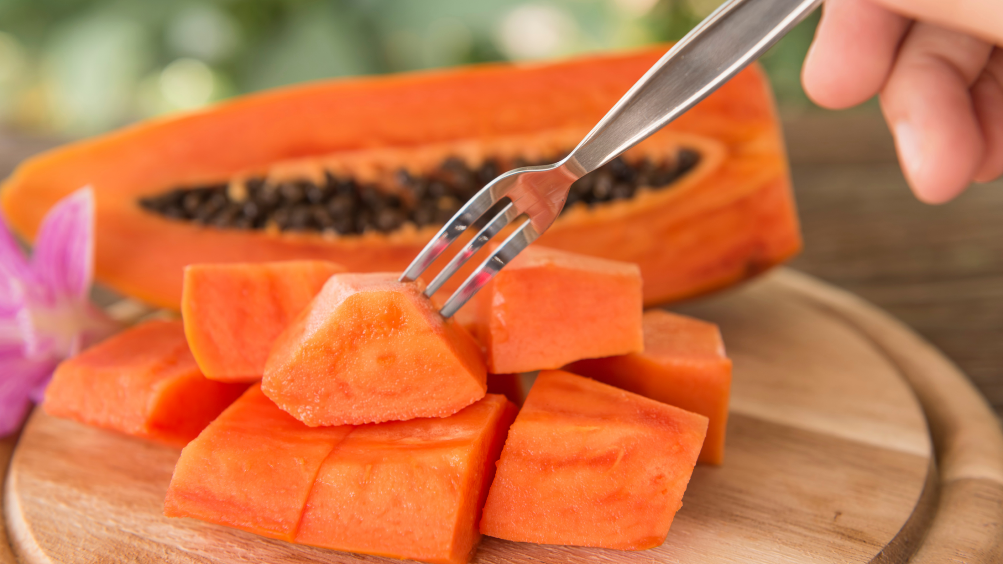 Benefícios do mamão: o que acontece com o seu corpo ao ingerir a fruta ...